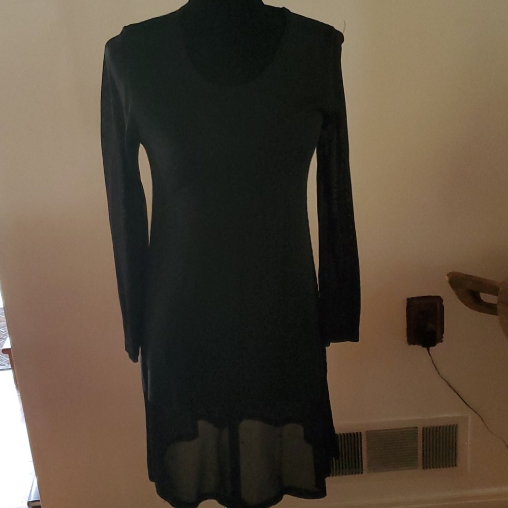 Beautiful Chic Sheer Dress - Gem